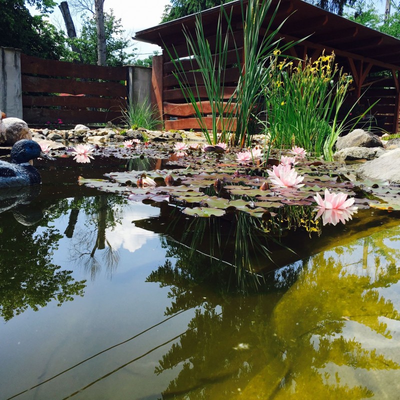 Rezeda Resort, Szigetmonostor - szállás, apartmanház, Szigetmonostor ...